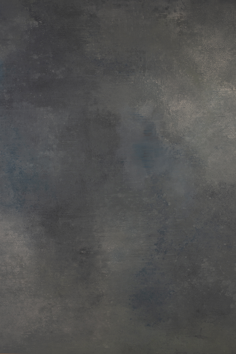 GravityBackDrops | 357 Cold Grey Contrasty L+