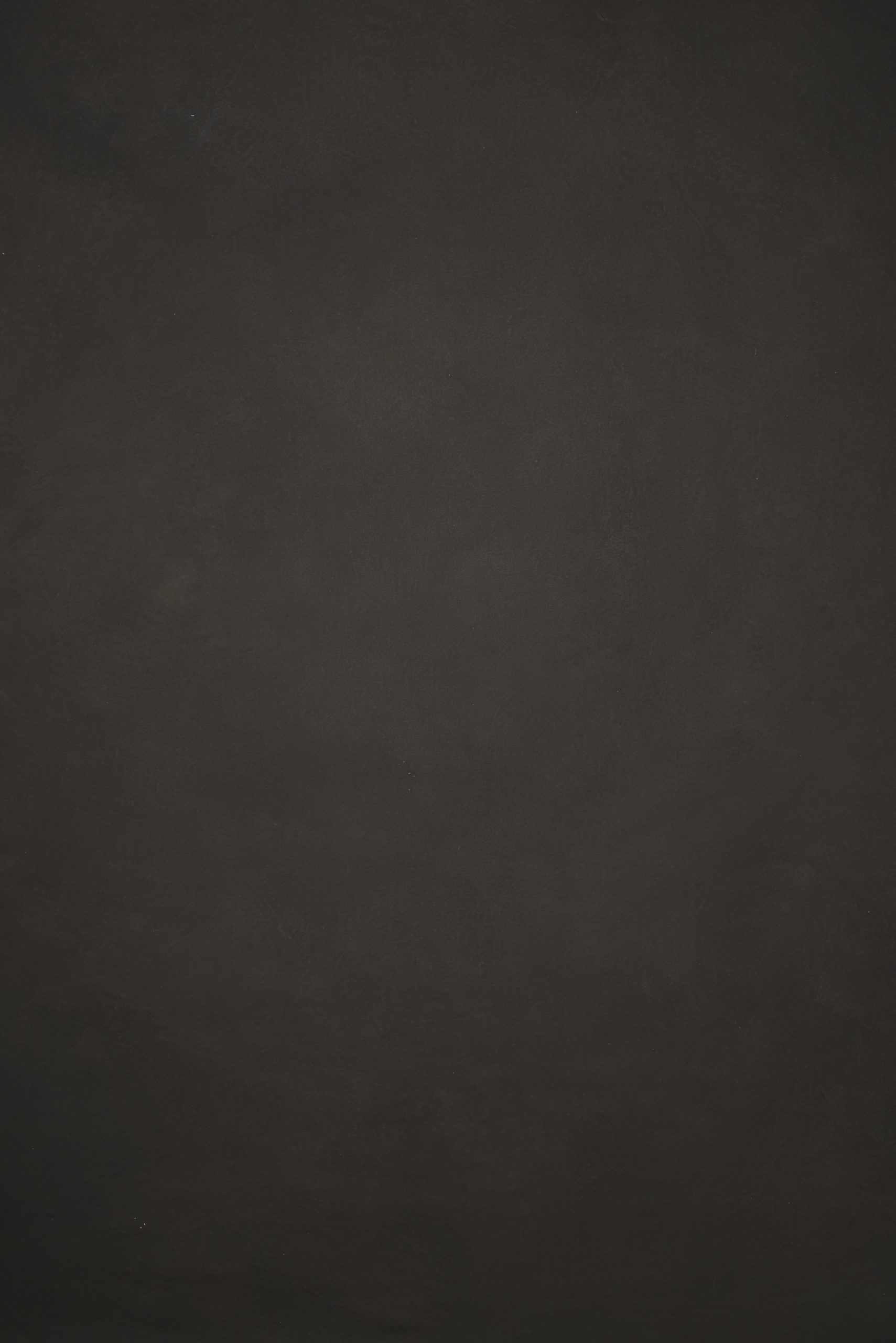 12729 Warm Dark Grey Distressed Text L - GravityBackDrops