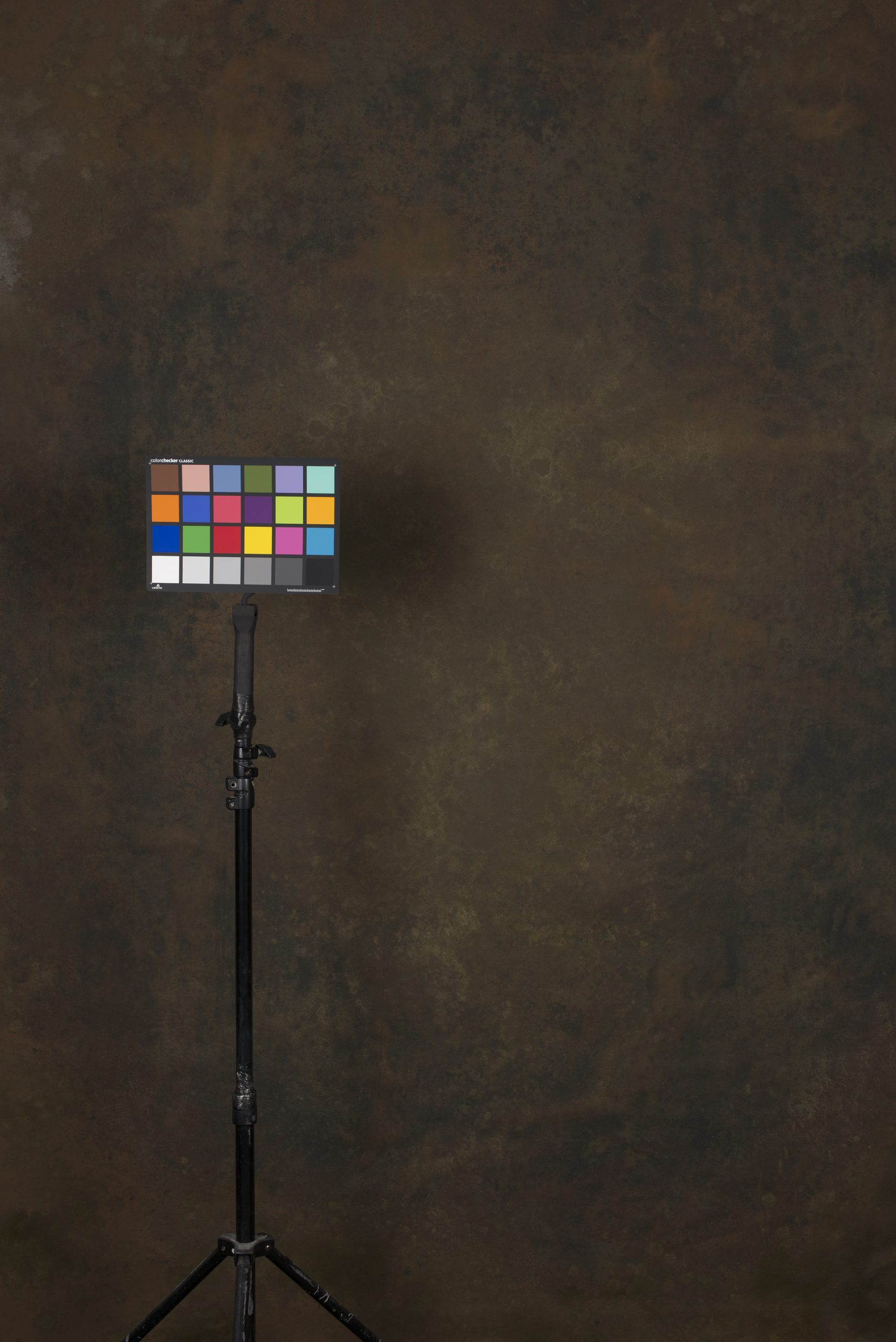 12763 Brown Green Mid Text L - GravityBackDrops