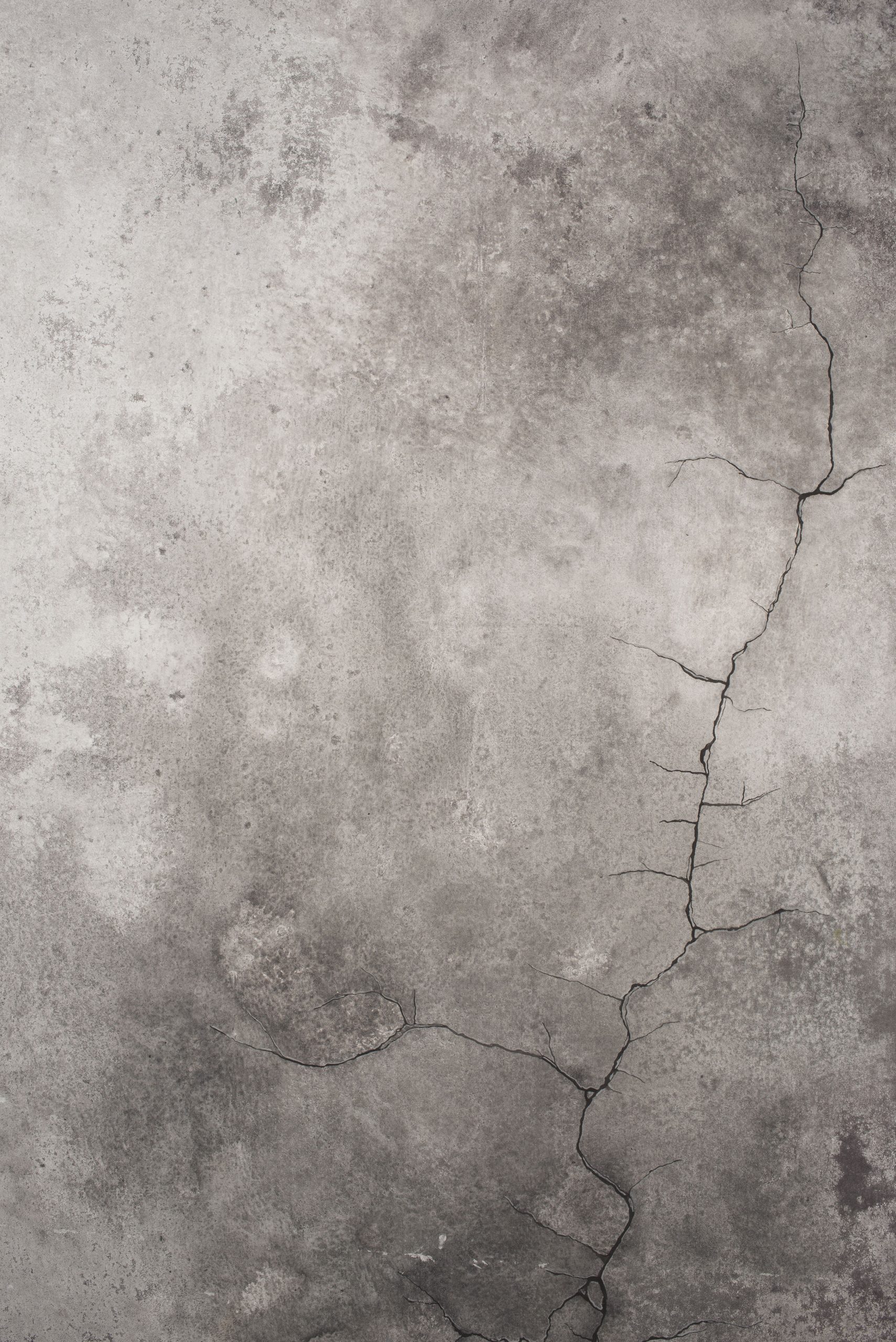 13962 Light Grey Strong Text XS - GravityBackDrops